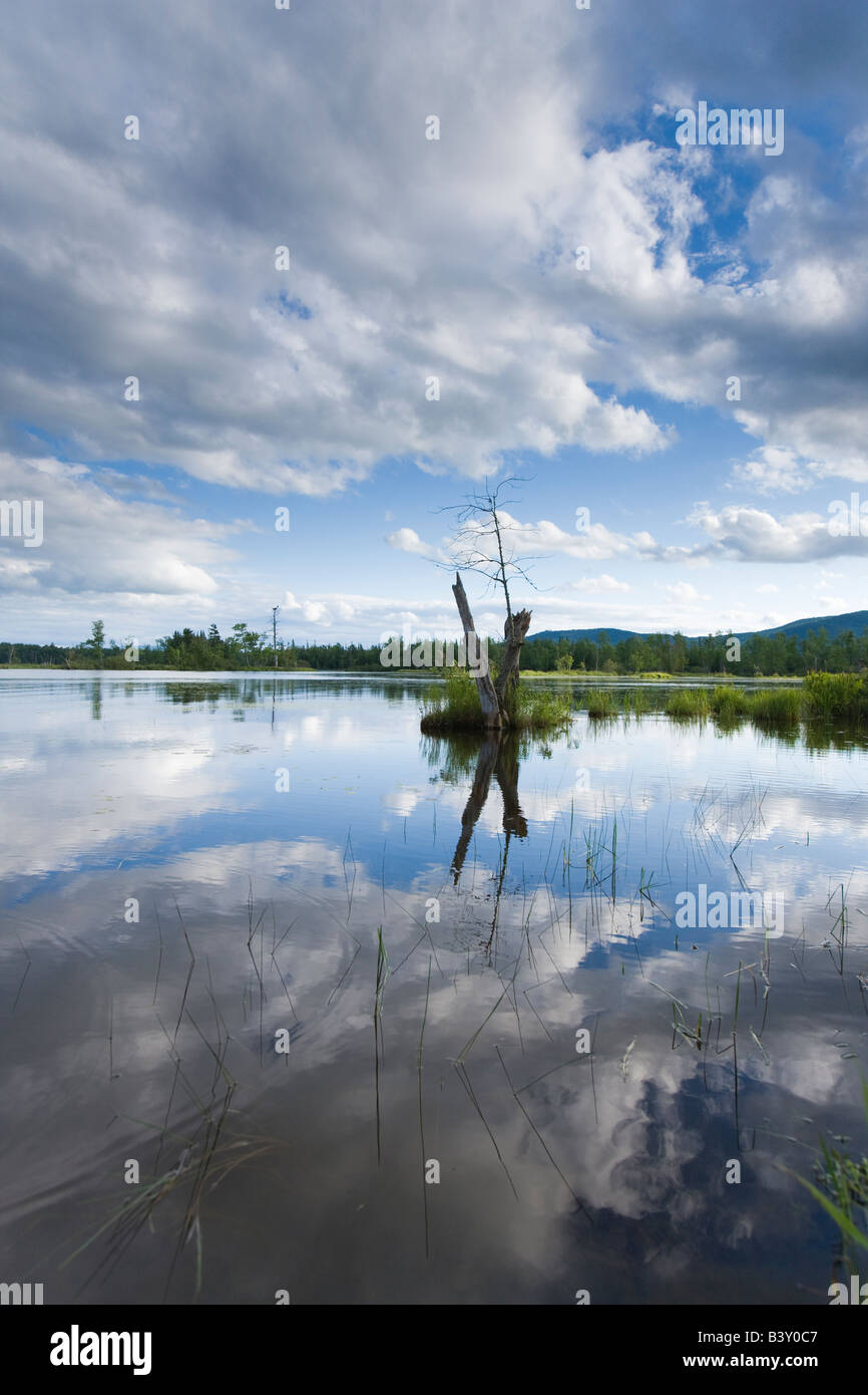Rural lake in New England Stock Photo - Alamy