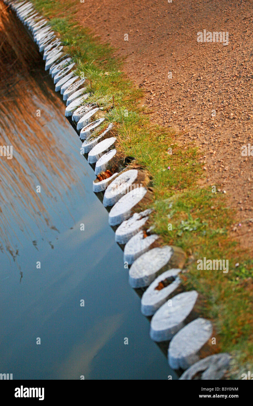 Frosty lake edge Stock Photo - Alamy