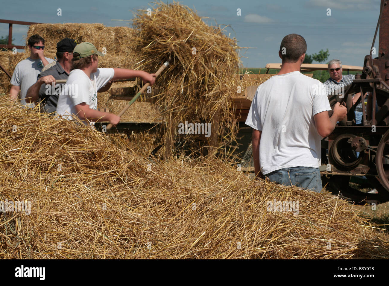 Farm boys do hard work at harvest Stock Photo - Alamy