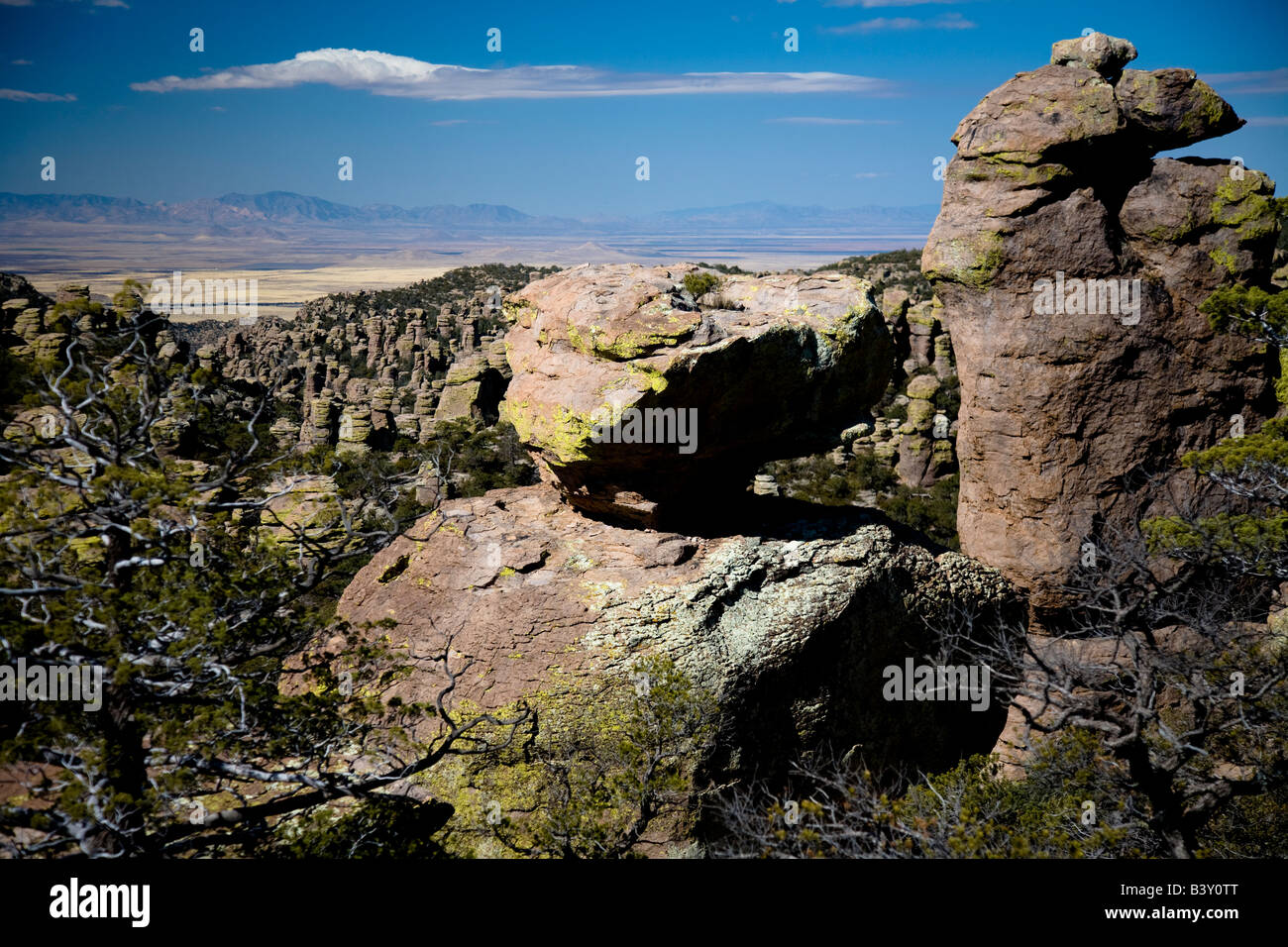 Chiricahua standing up rocks National Monument Arizona USA Stock Photo ...
