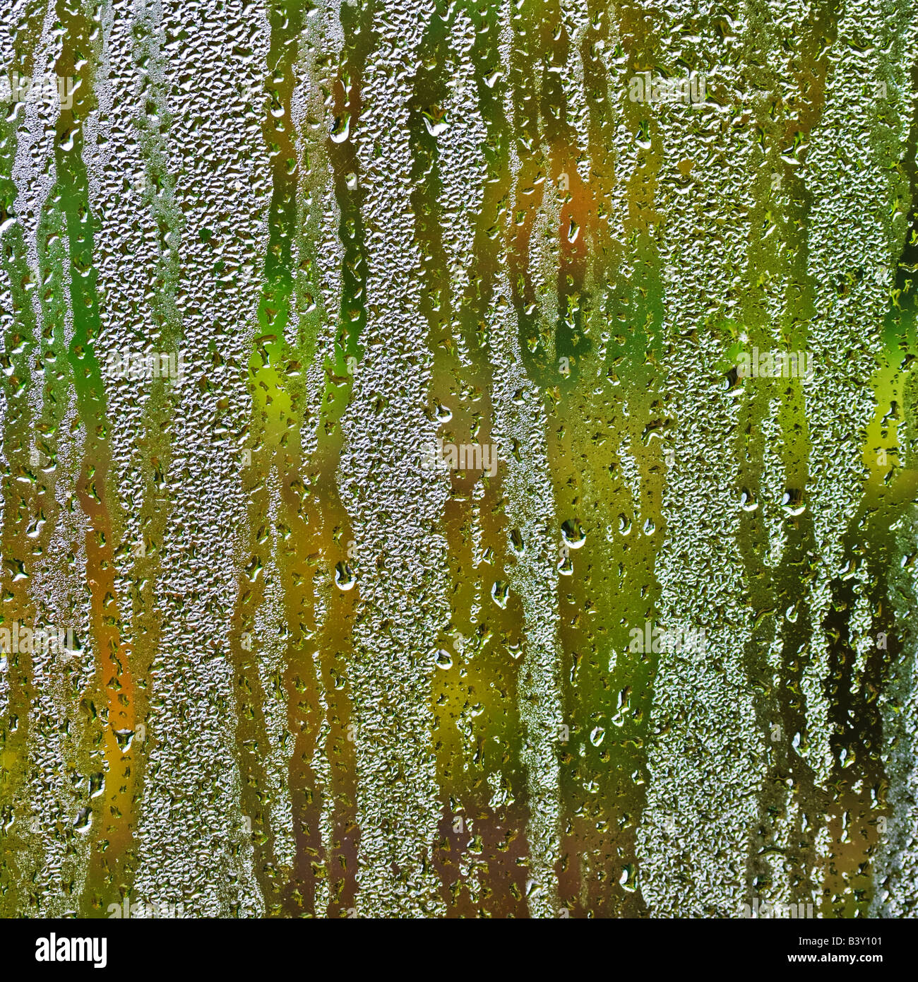 Condensation on a window highlighted by out of focus coloured shapes in ...