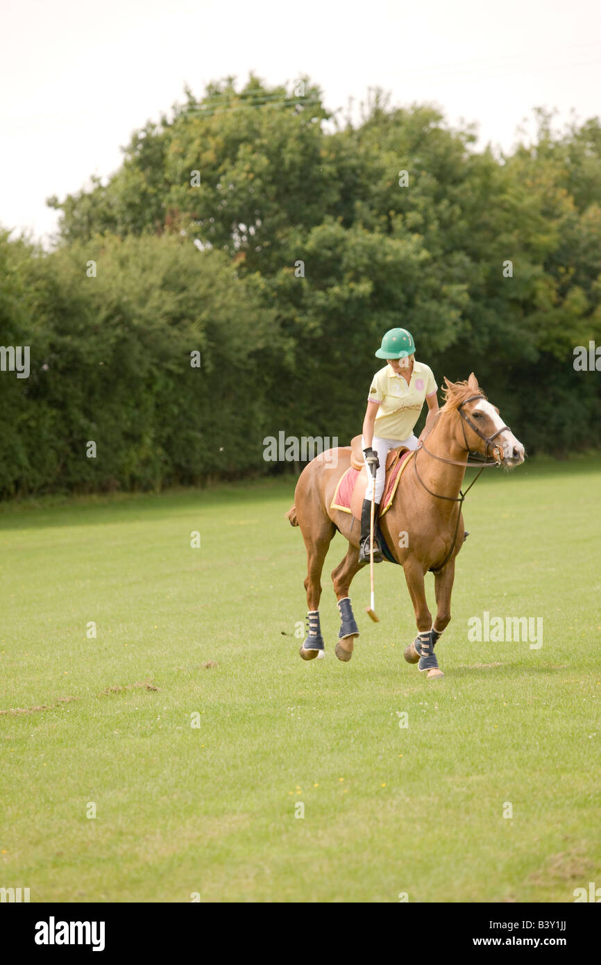 Horse practice hi-res stock photography and images - Alamy