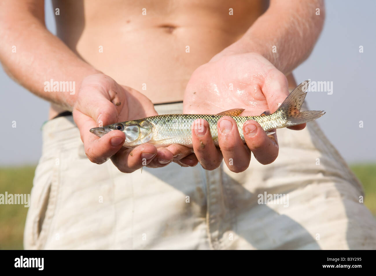 Small pike fish caught on the kafuie river Zambia Africa Stock Photo ...