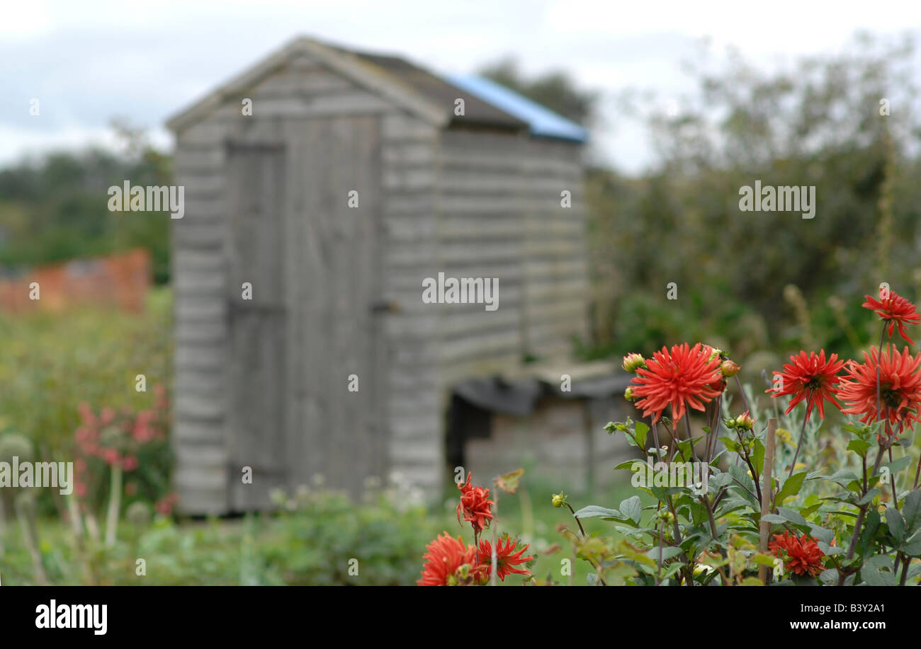 Allotment in Hythe, Kent Stock Photo - Alamy