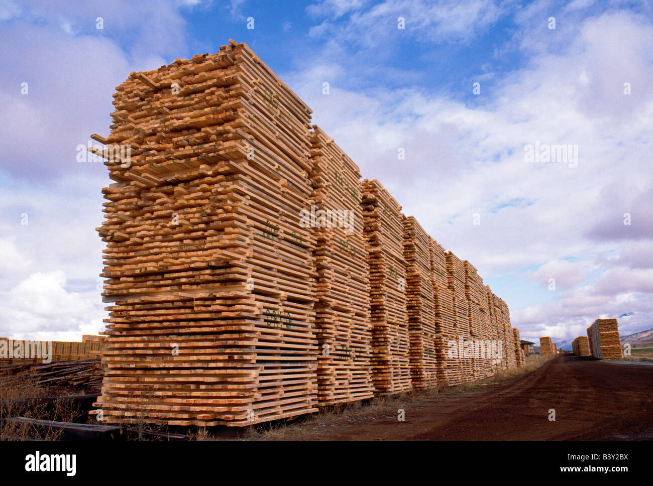 Cut lumber stacked high and ready for shipment at a lumber mill, Eureka ...