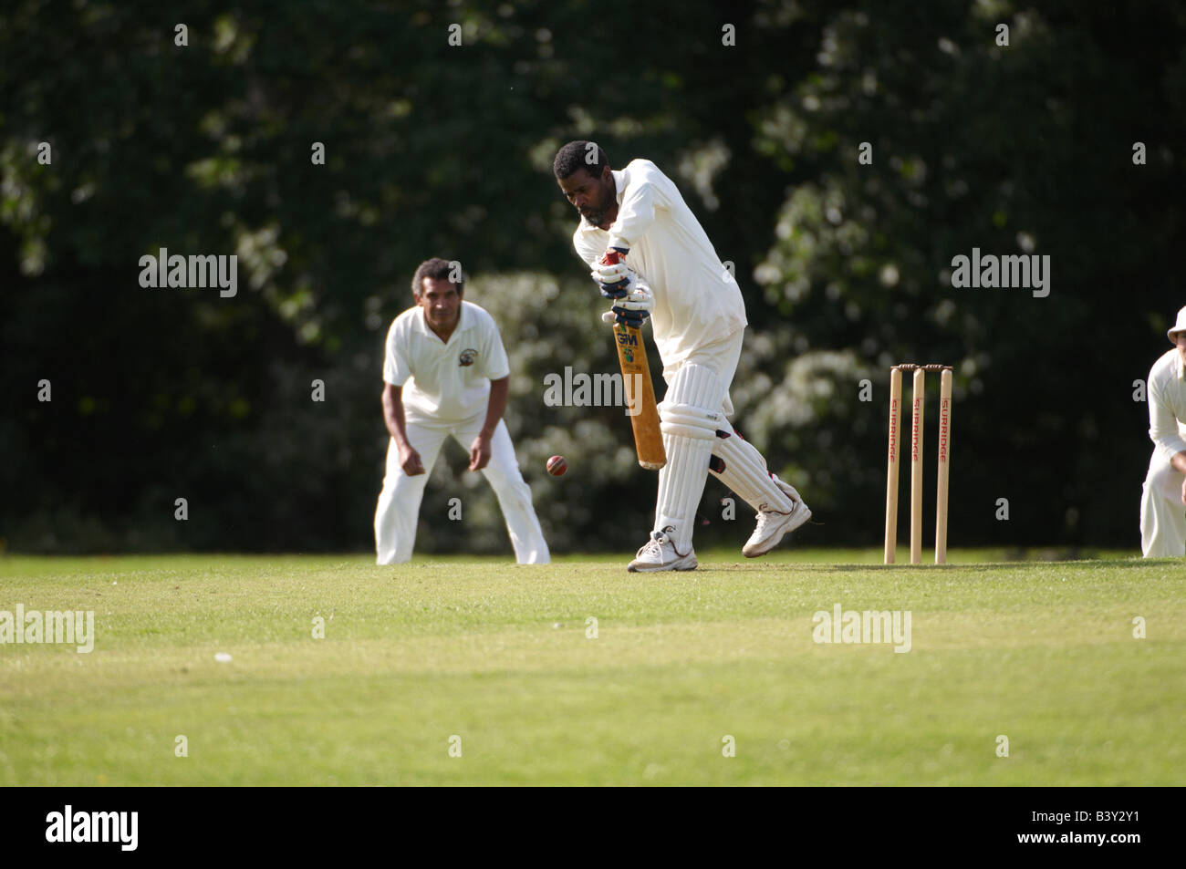 Friends playing cricket hi-res stock photography and images - Alamy