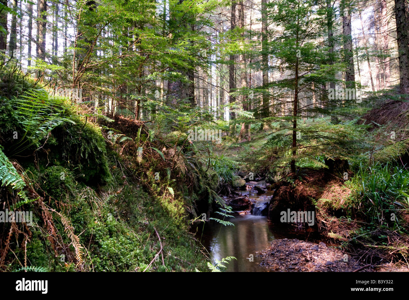 Gortin High Resolution Stock Photography and Images - Alamy