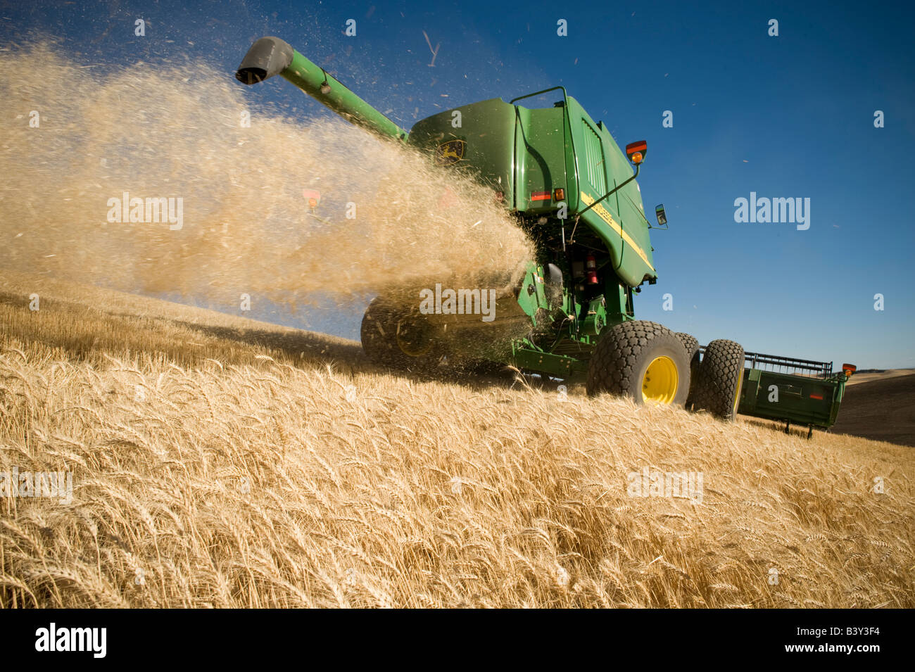 Wheat Harvest in Palouse, Washington, USA Stock Photo - Alamy