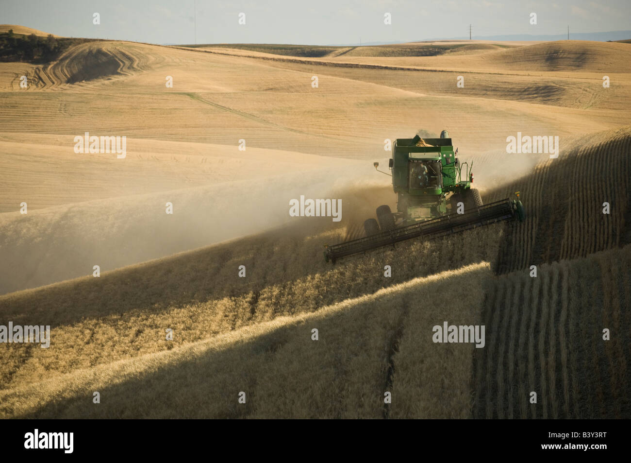 Wheat Harvest in Palouse, Washington, USA Stock Photo - Alamy