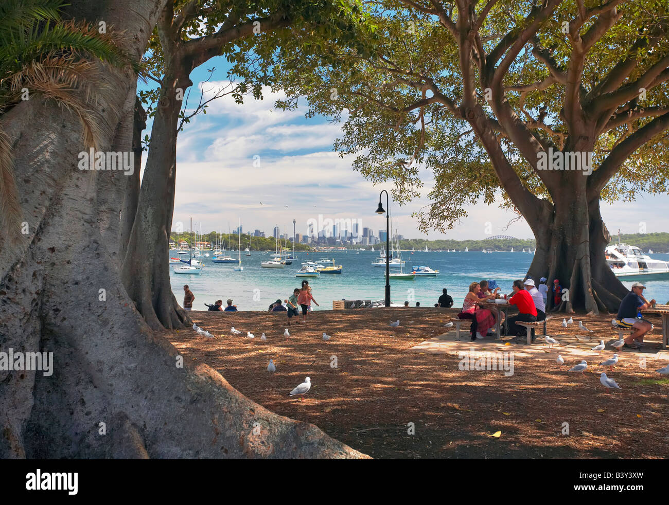 Watson Bay Sydney New South Wales Australia Stock Photo - Alamy