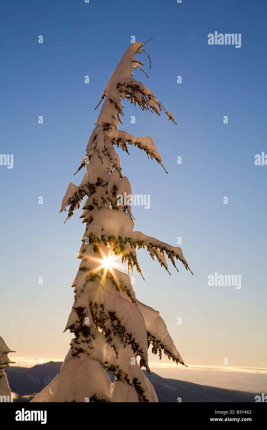 Sun beams cascade through hi-res stock photography and images - Alamy