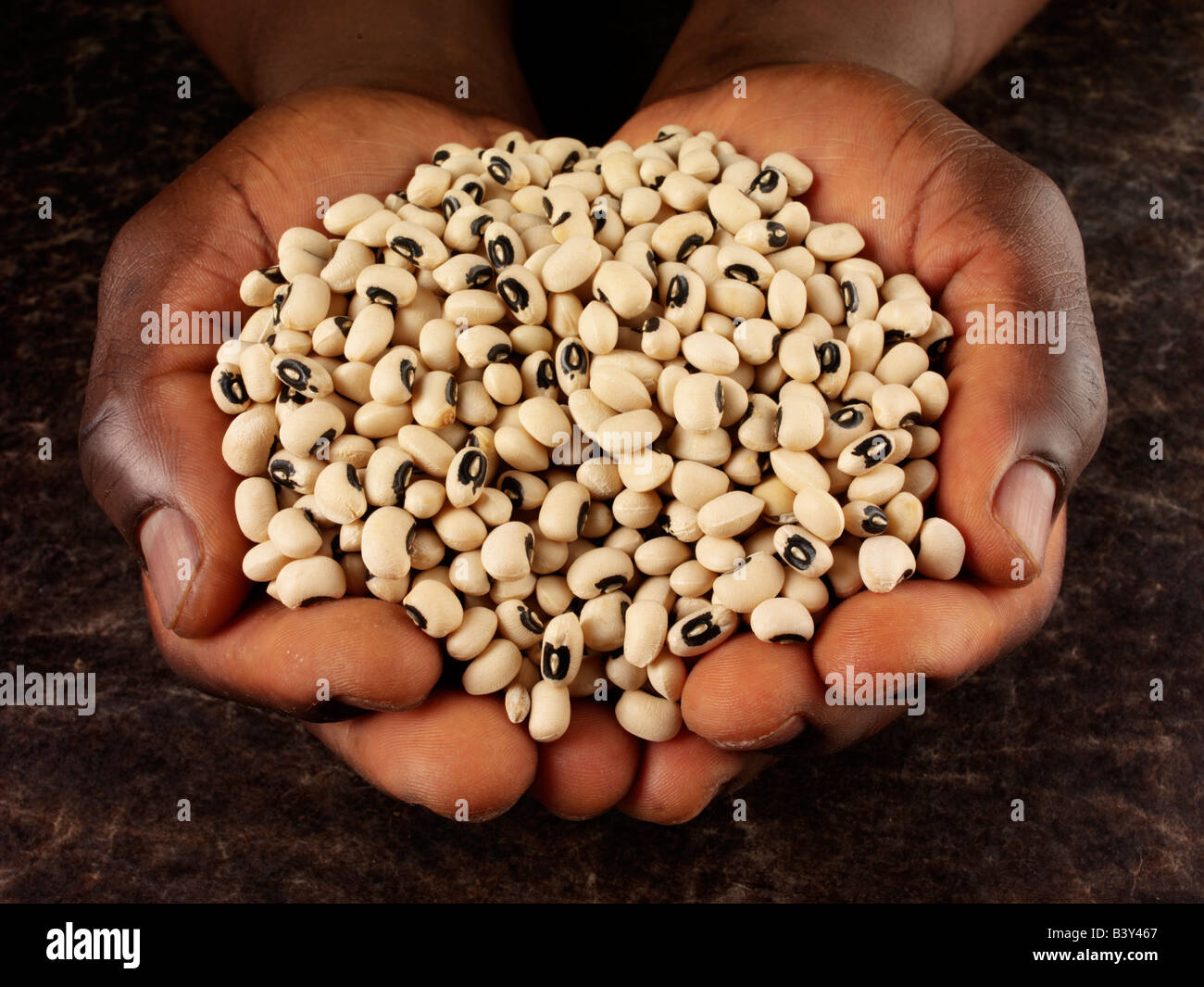 MAN'S HANDS HOLDING BLACK EYED BEANS Stock Photo - Alamy