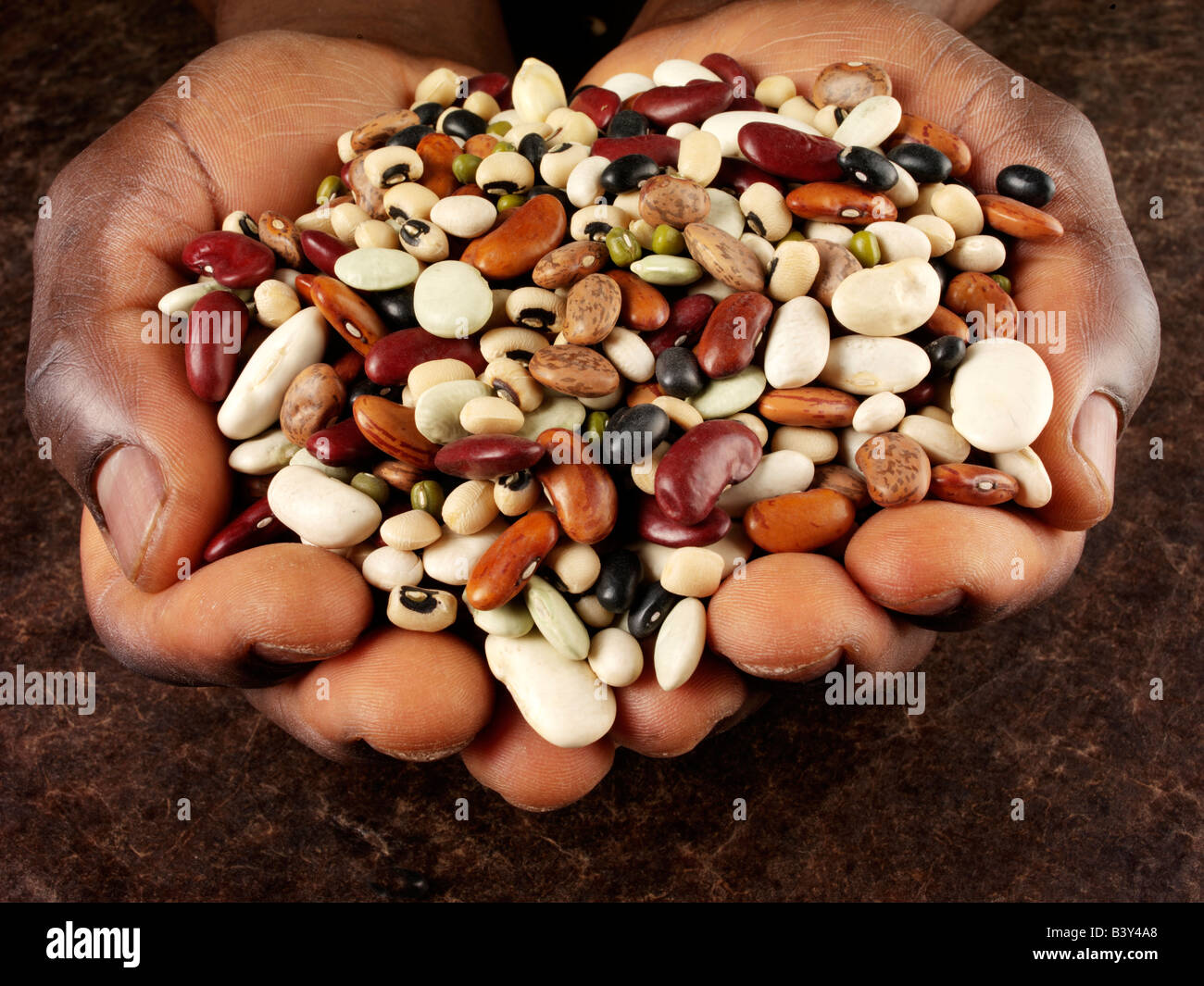 MAN'S HANDS HOLDING MIXED DRY BEANS Stock Photo - Alamy