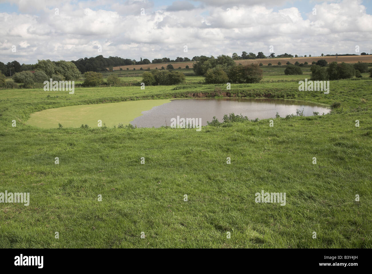 Spring fed dew pond in field of gently sloping valley, near Eye ...