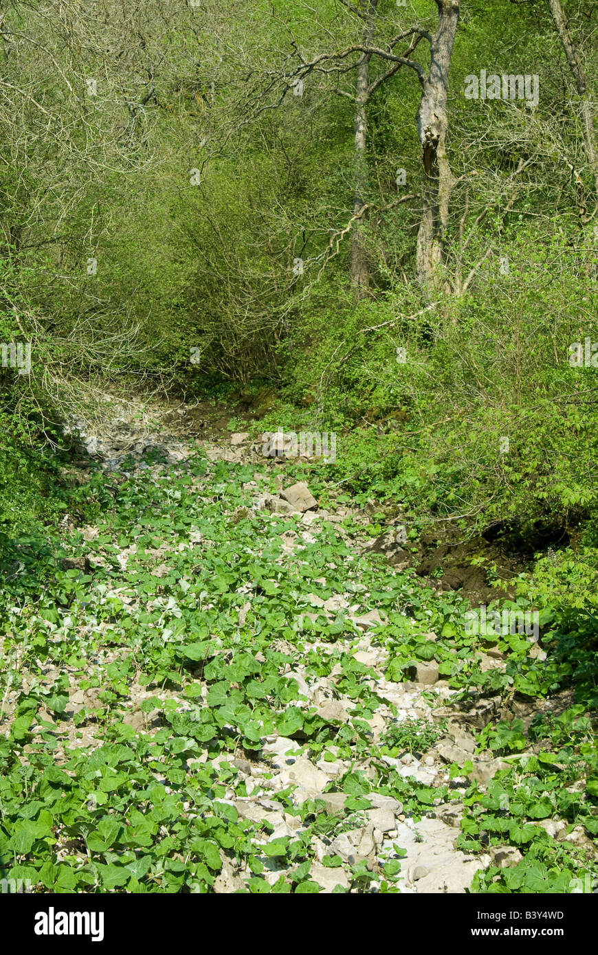 Dry riverbed england hi-res stock photography and images - Alamy