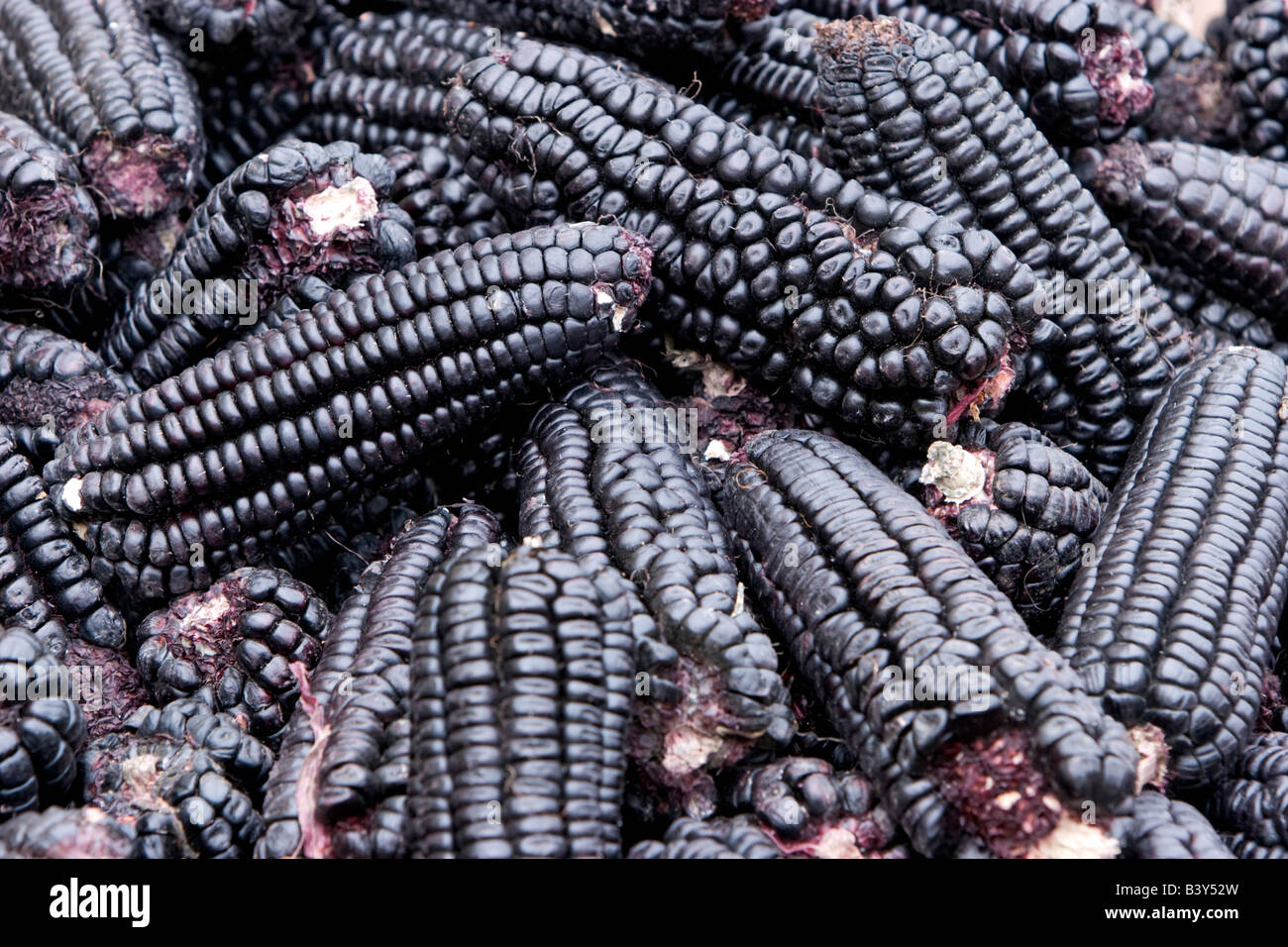 black corn from Peru chicha drink maize ferment Stock Photo - Alamy