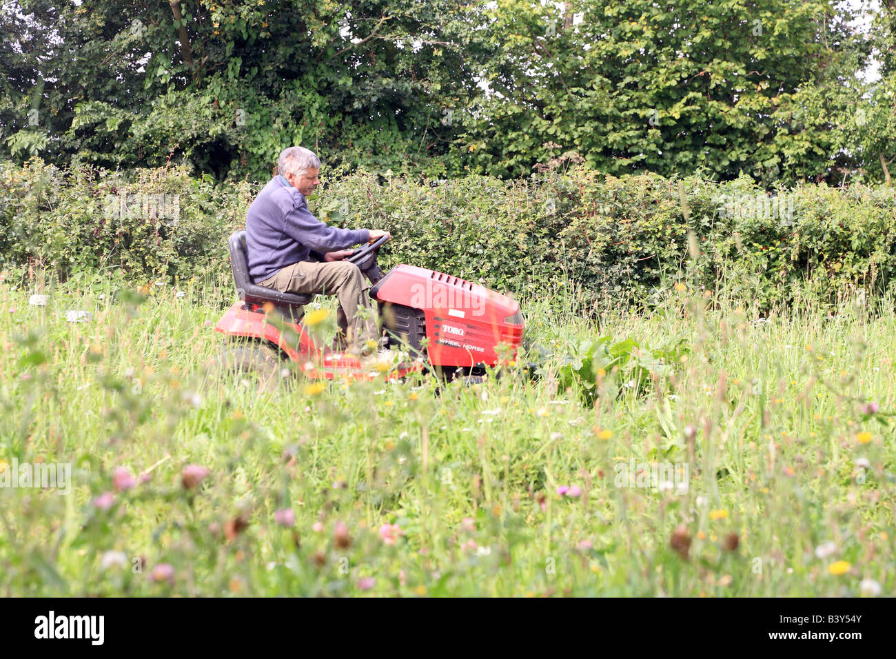 Man mowing a lawn on ride-on mower Stock Photo - Alamy