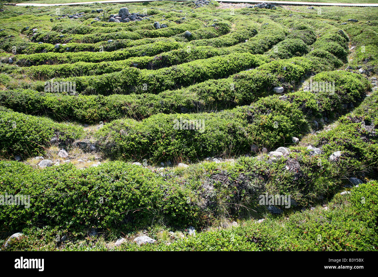 Prehistoric stone labyrinth on the Zayatsky islands close to the ...