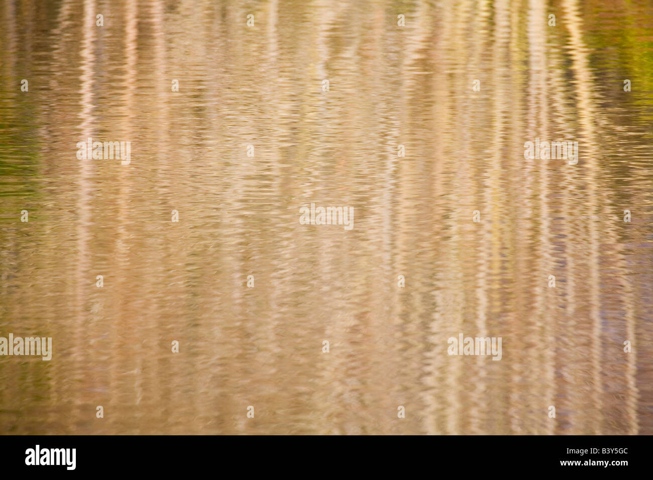 Reflection in pond Stock Photo - Alamy