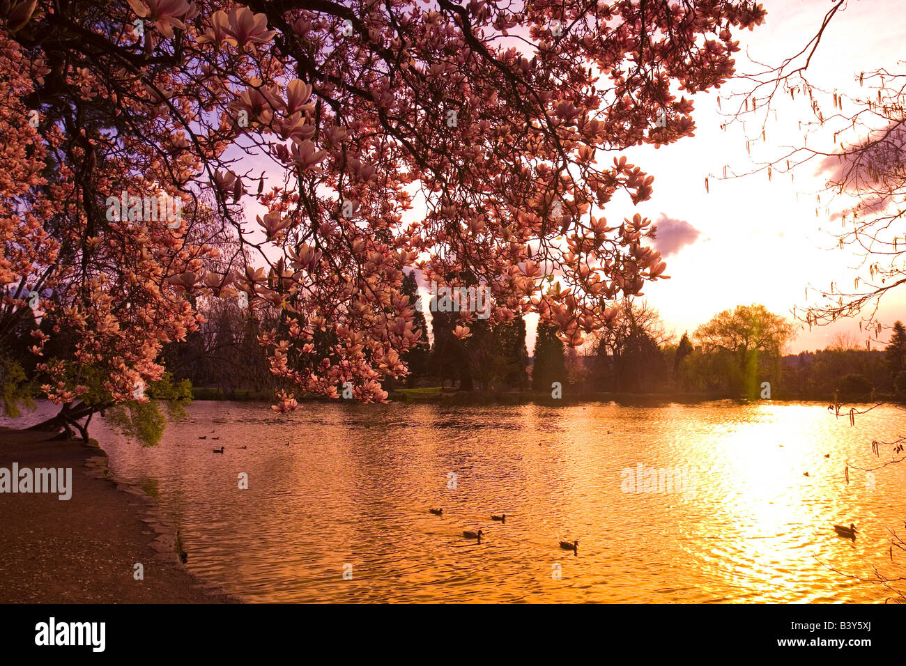 Crystal springs lake portland hi-res stock photography and images - Alamy