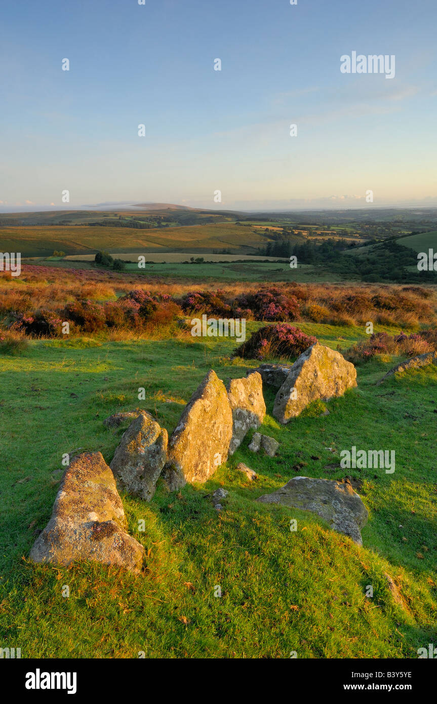 A small stone circle surrounded by wild heather in full bloom at ...