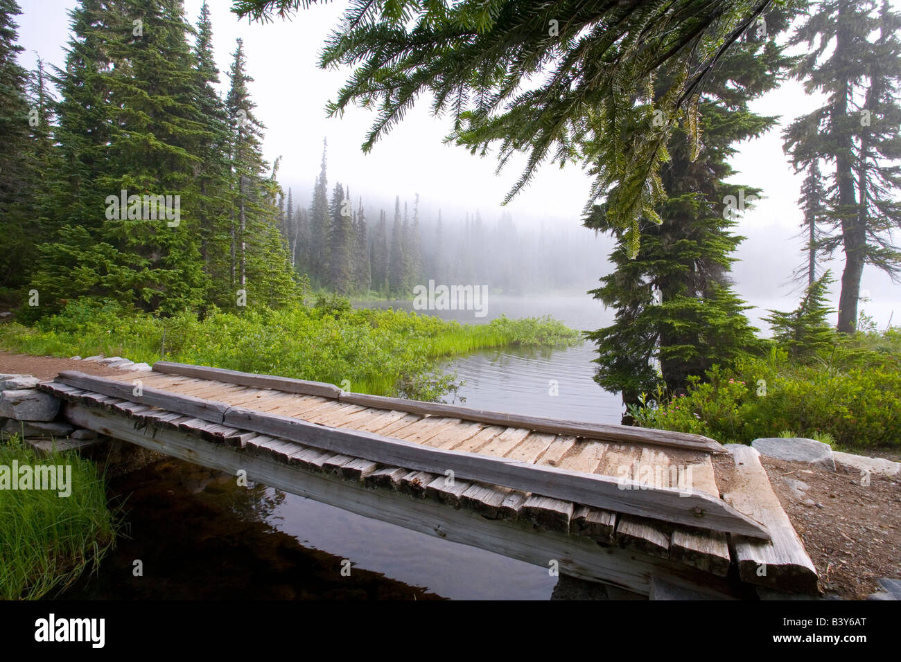 Foot bridge, Mount Rainier National Park, Washington, USA Stock Photo ...