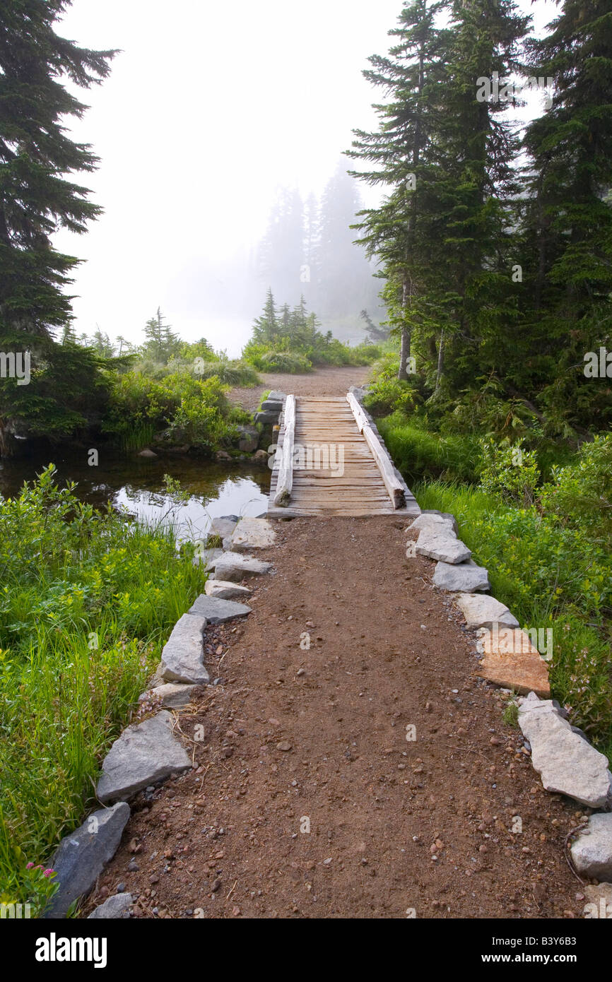 Park trails with foot bridges hi-res stock photography and images - Alamy