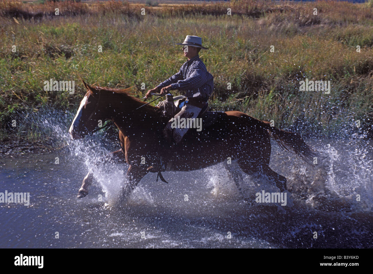 Cowboy galloping through water Stock Photo - Alamy