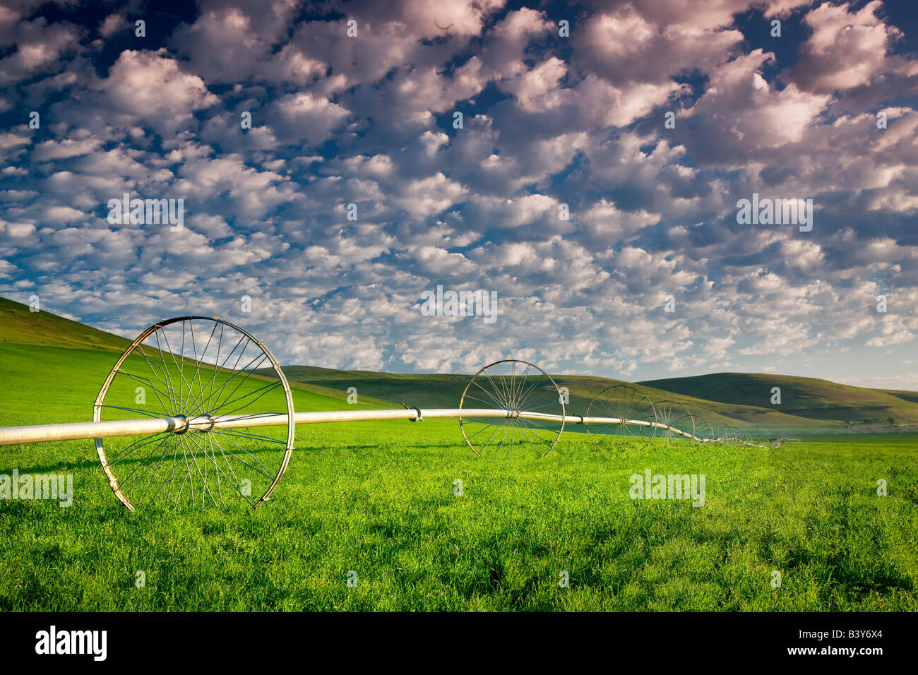 Irrigation wheel in pasture with cloudy sky Wallowa County Oregon Stock ...