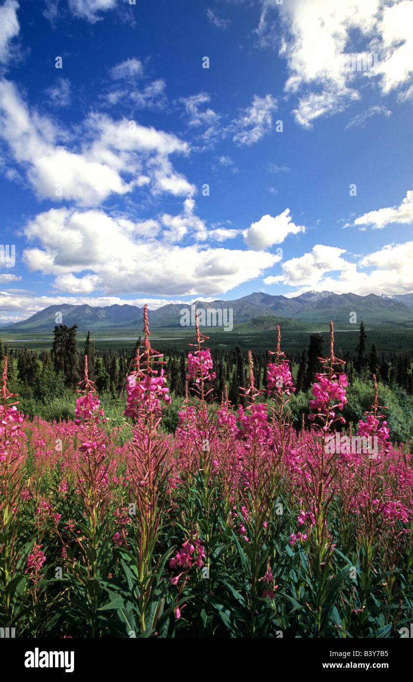 Chugach Mountains, Alaska, USA Stock Photo - Alamy