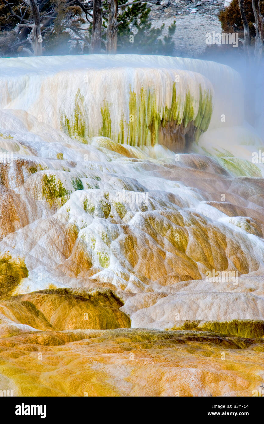 Calcium deposits at Orange Spring Mound hot springs Yellowstone ...