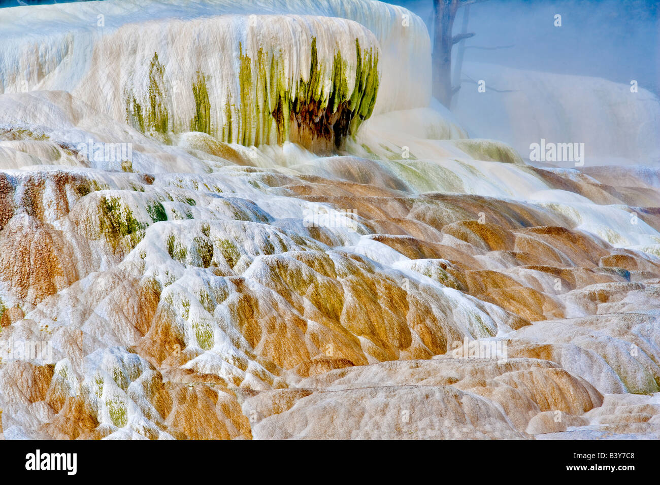 Calcium deposits at Orange Spring Mound hotsprings Yellowstone National ...