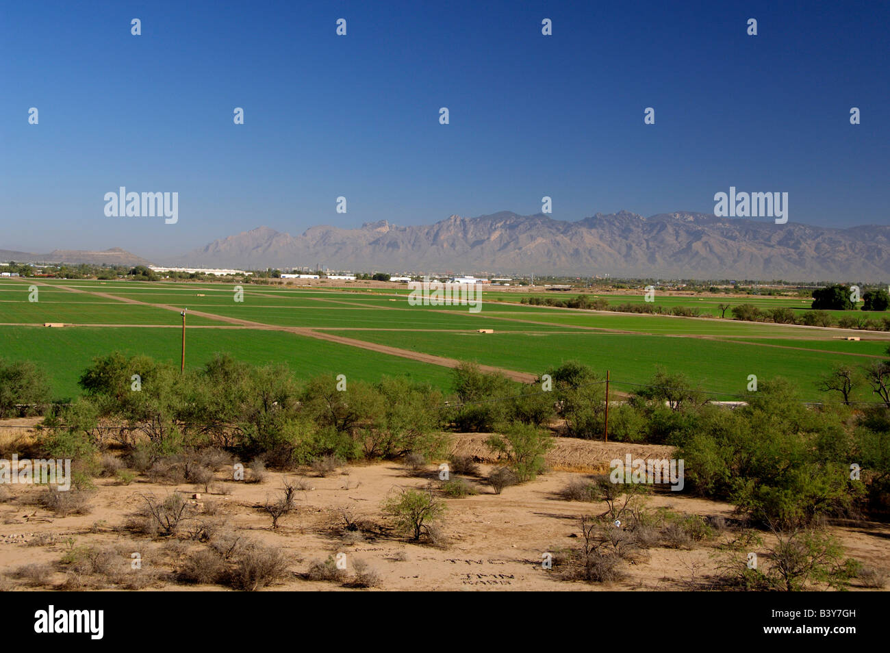 USA, Arizona, Tucson. Overview of Tucson from Mission San Xavier del ...