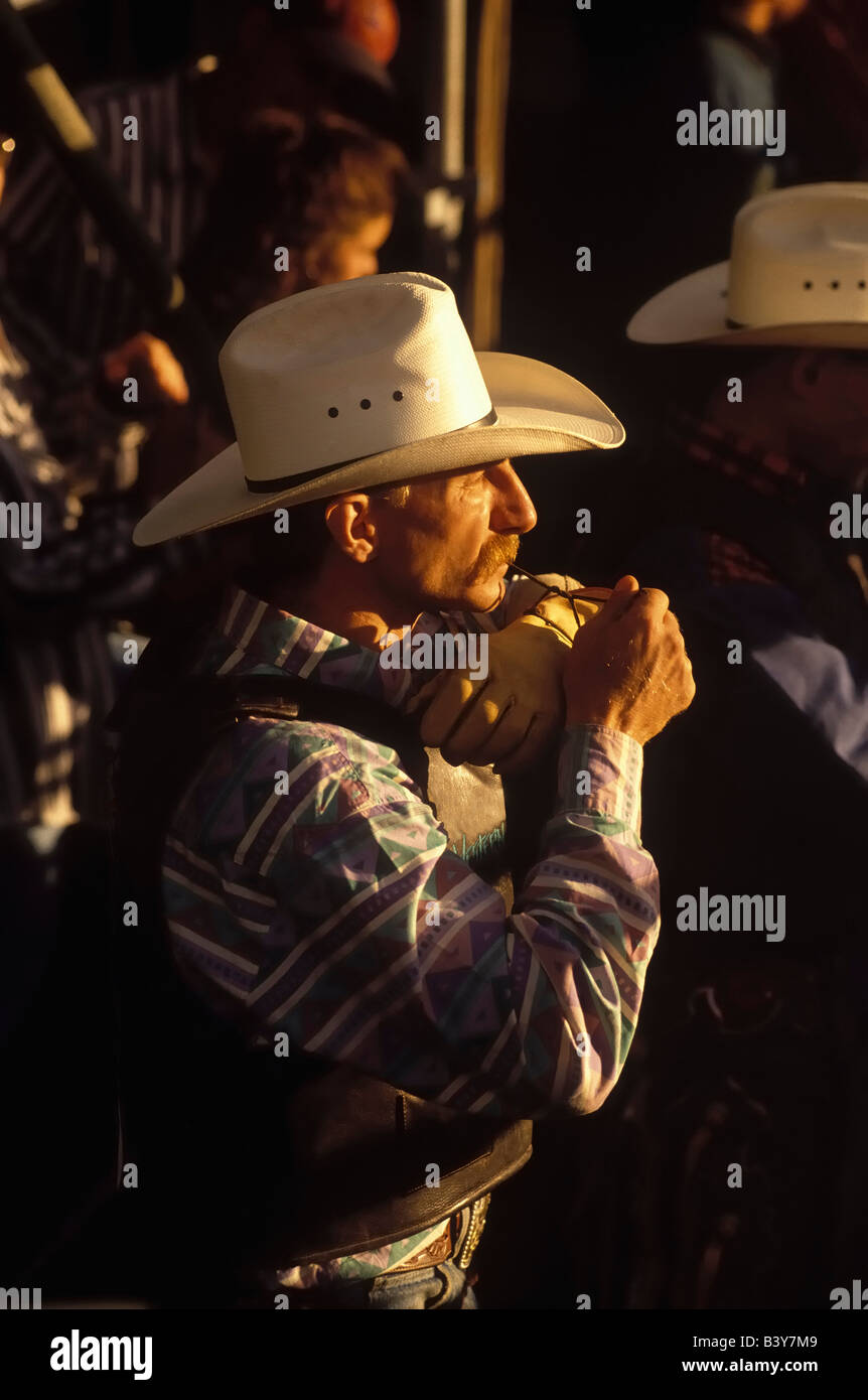 Lone American professional cowboy in pro rodeo setting sun tall man ...