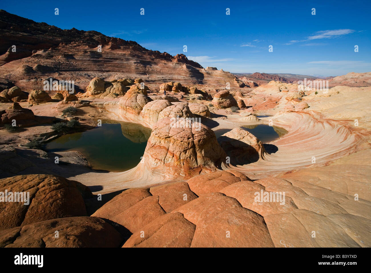 Arizonas sandstone hi-res stock photography and images - Alamy