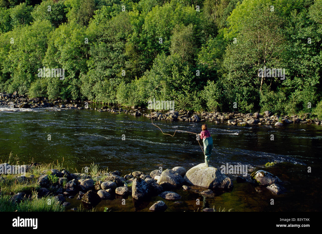 River awe salmon hi-res stock photography and images - Alamy