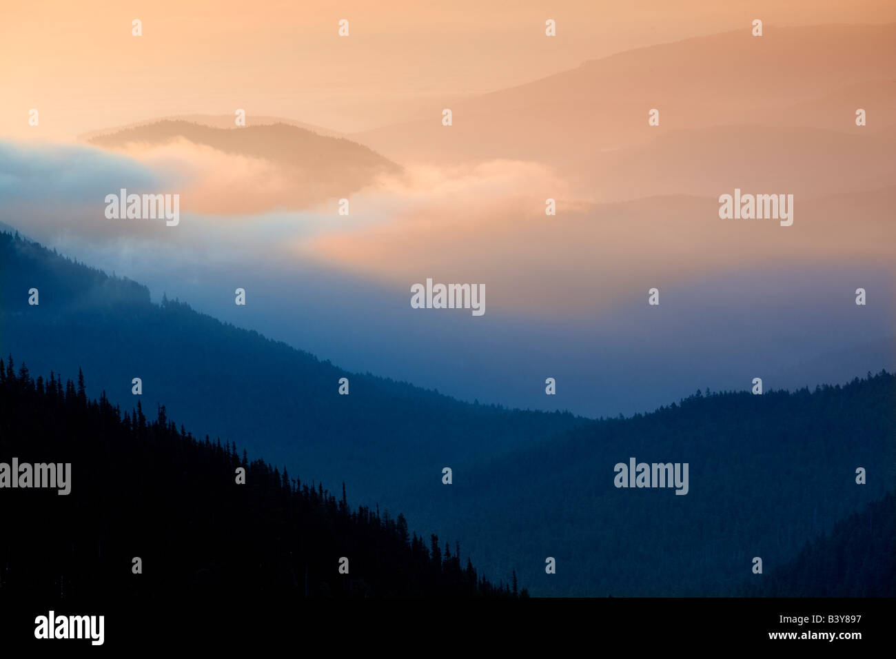 Sunrise and fog Taken from Hurricane Ridge Olympic National Park ...