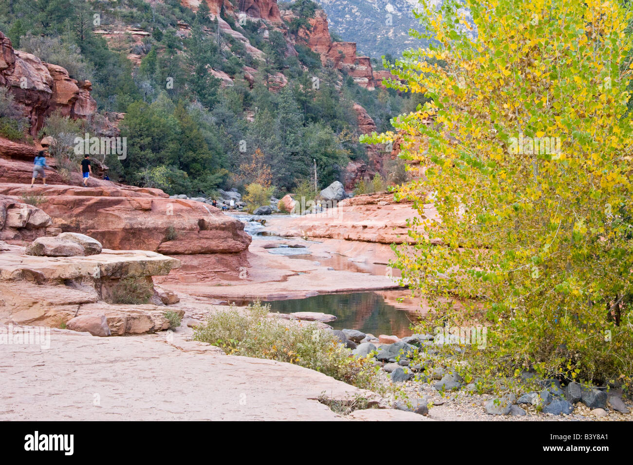 AZ, Arizona, Slide Rock State Park, Oak Creek and sandstone rock Stock ...