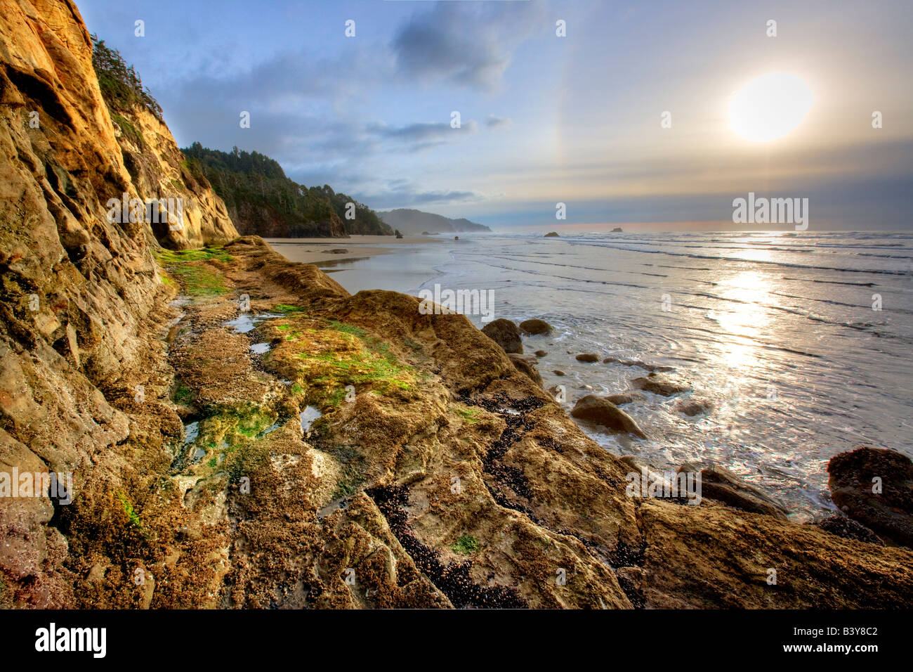 Path road trail at Hug Point State Park Oregon Stock Photo - Alamy