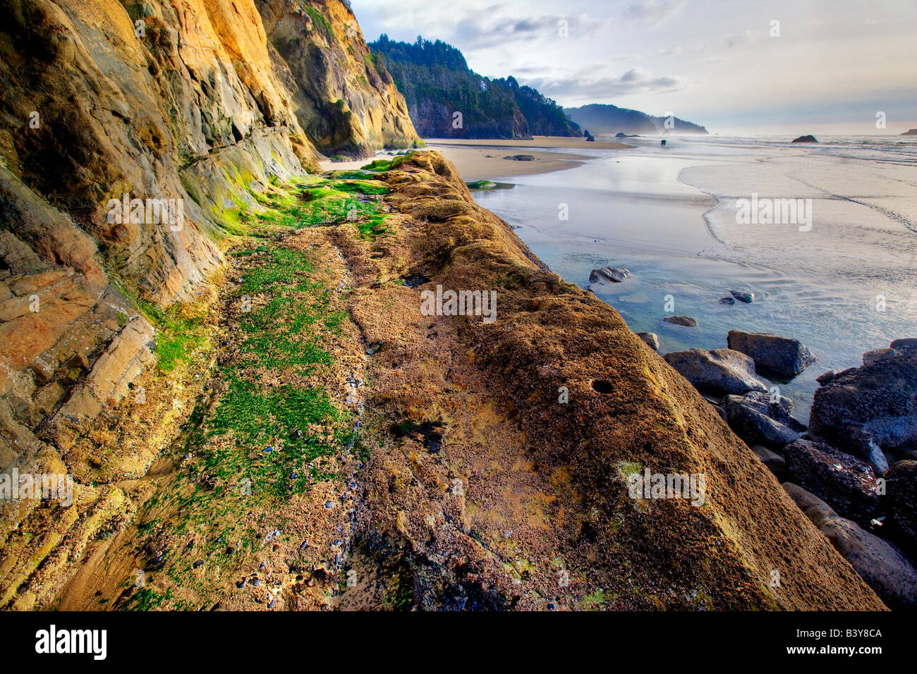 Path road trail at Hug Point State Park Oregon Stock Photo - Alamy