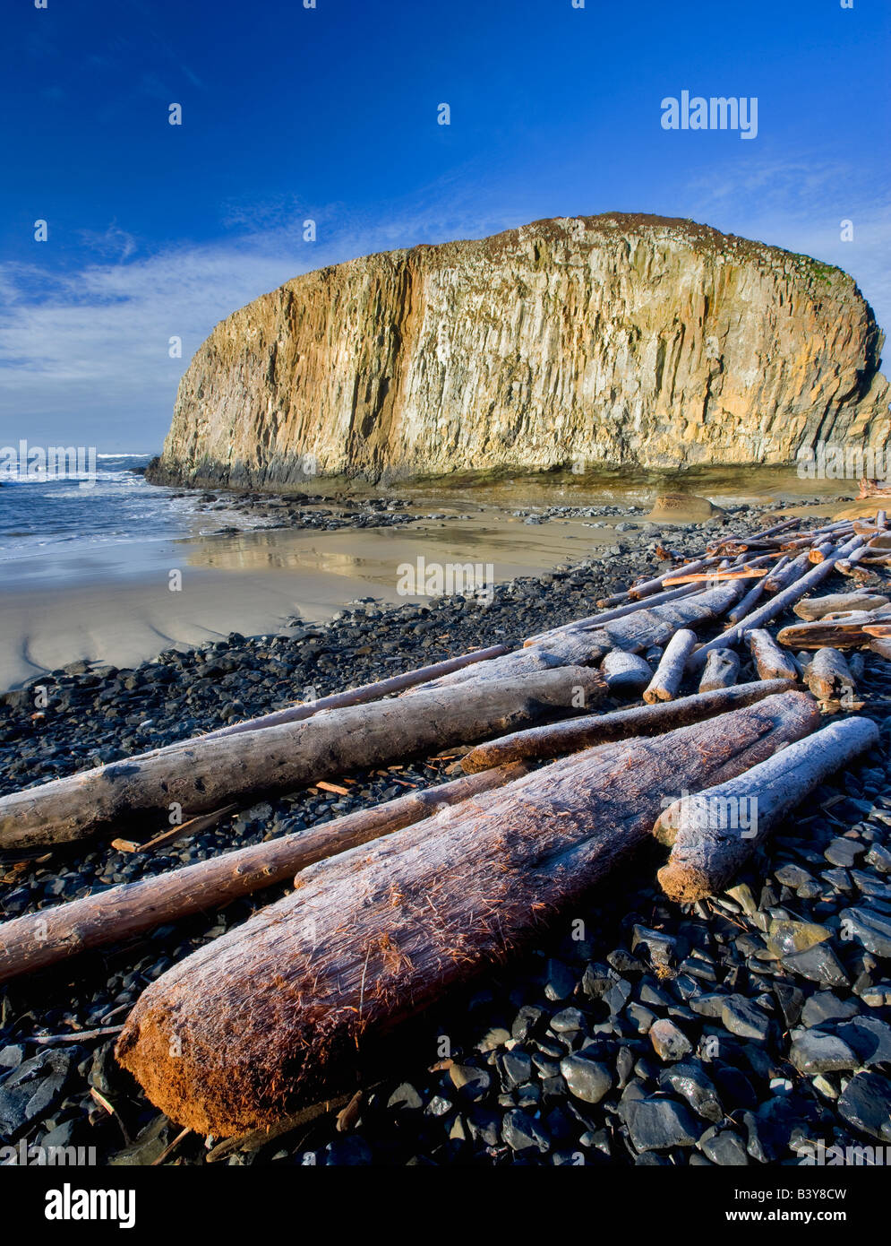 Seal rock with frost on driftwood Oregon Stock Photo - Alamy