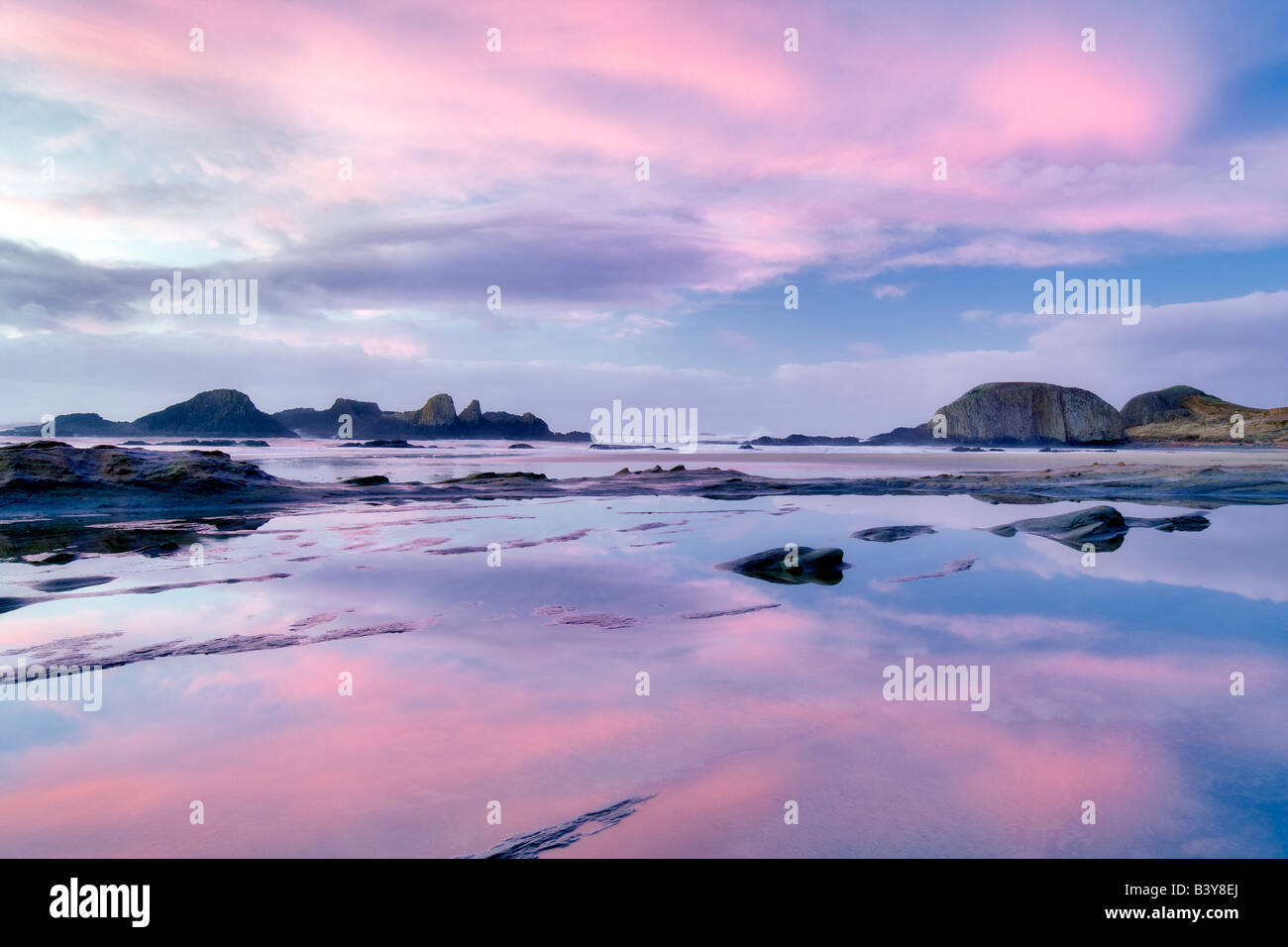 Day of the seal hi-res stock photography and images - Alamy