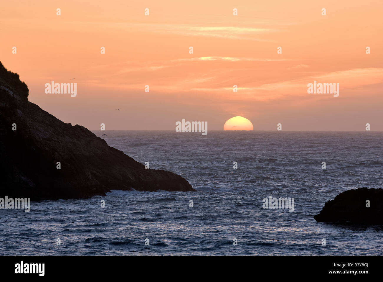 Brookings oregon hi-res stock photography and images - Alamy