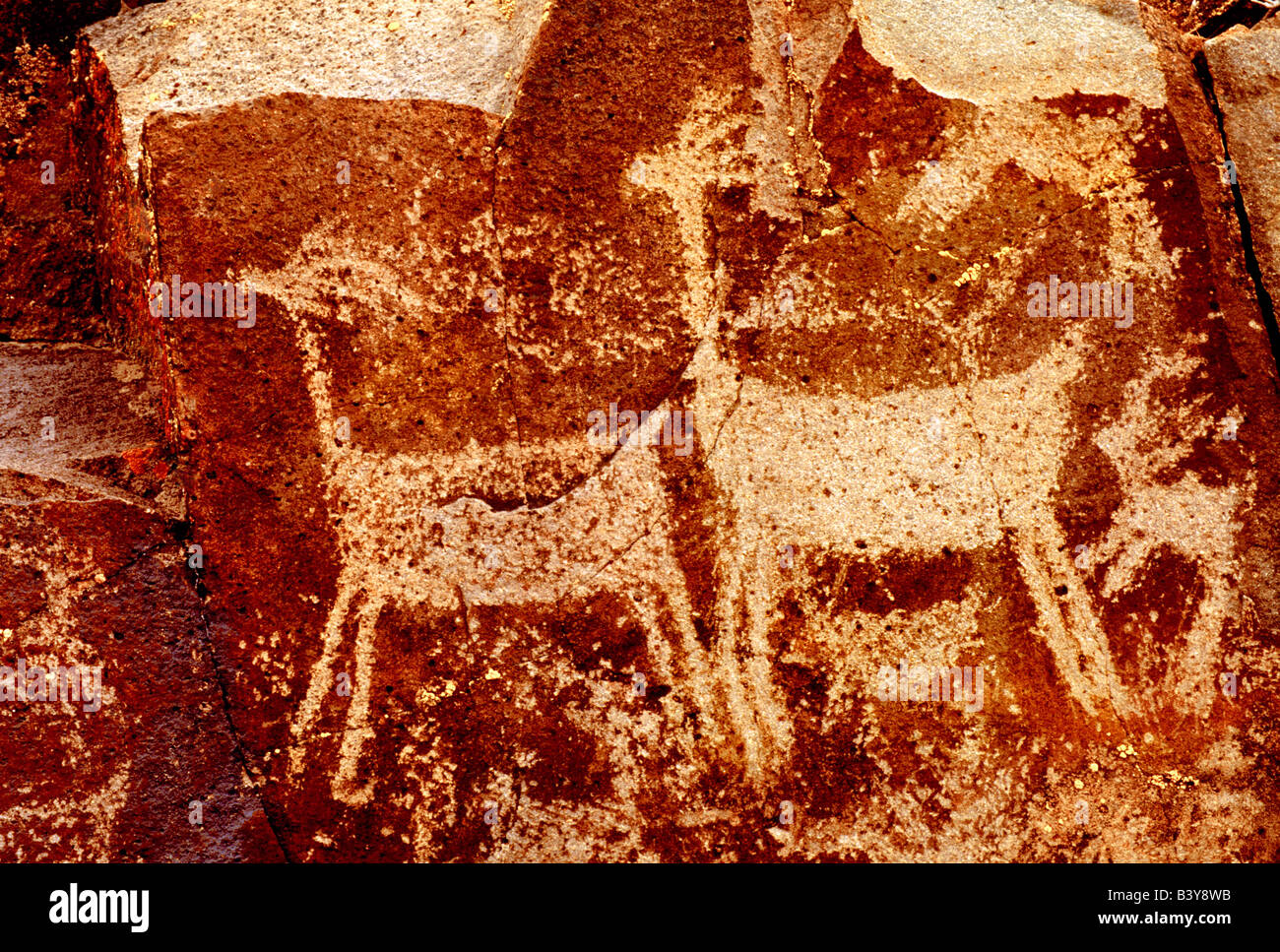 USA, California, Little Petroglyph Canyon, Ridgecrest. Wall of ancient ...