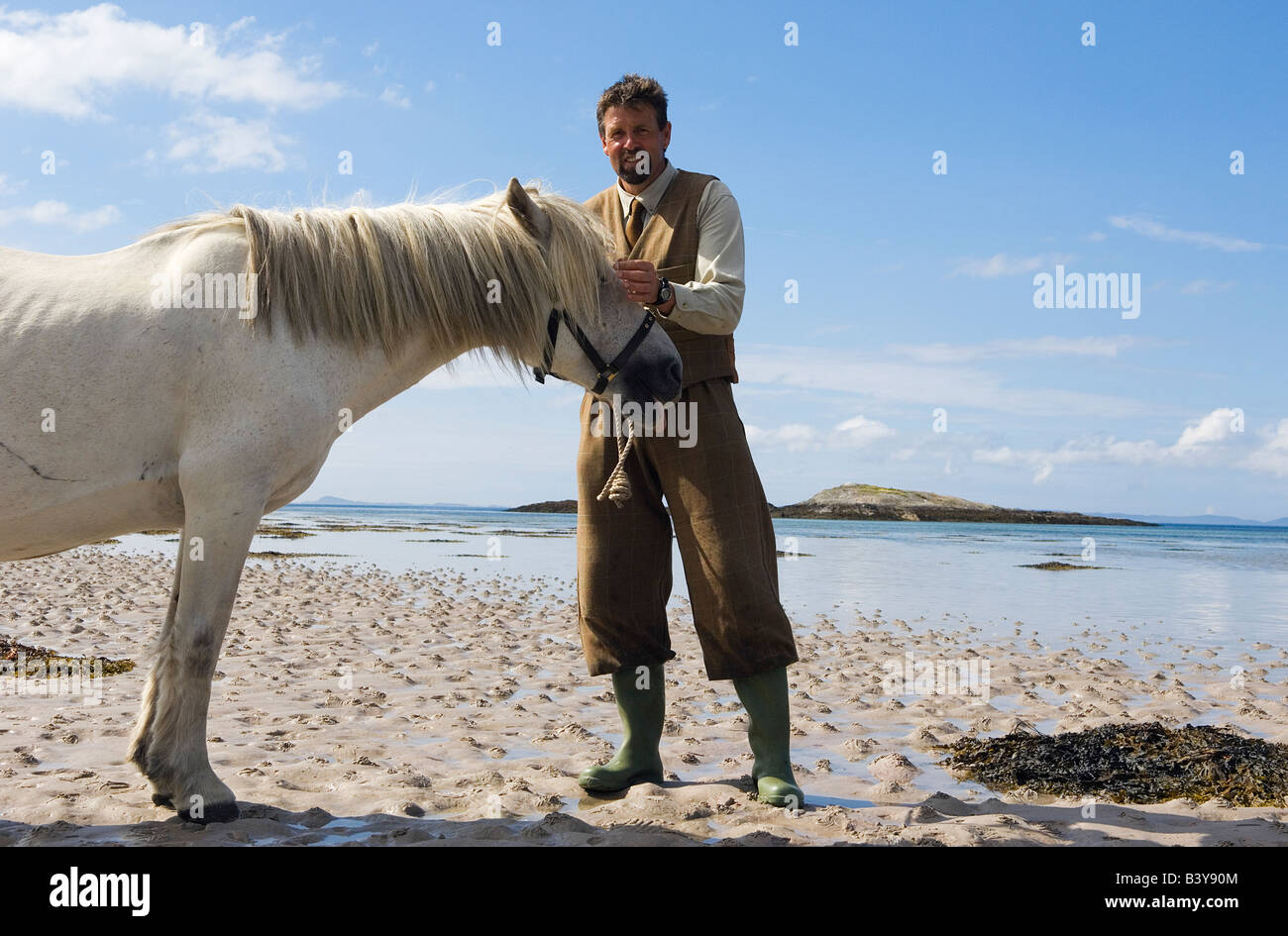 Garron pony scotland hi-res stock photography and images - Alamy