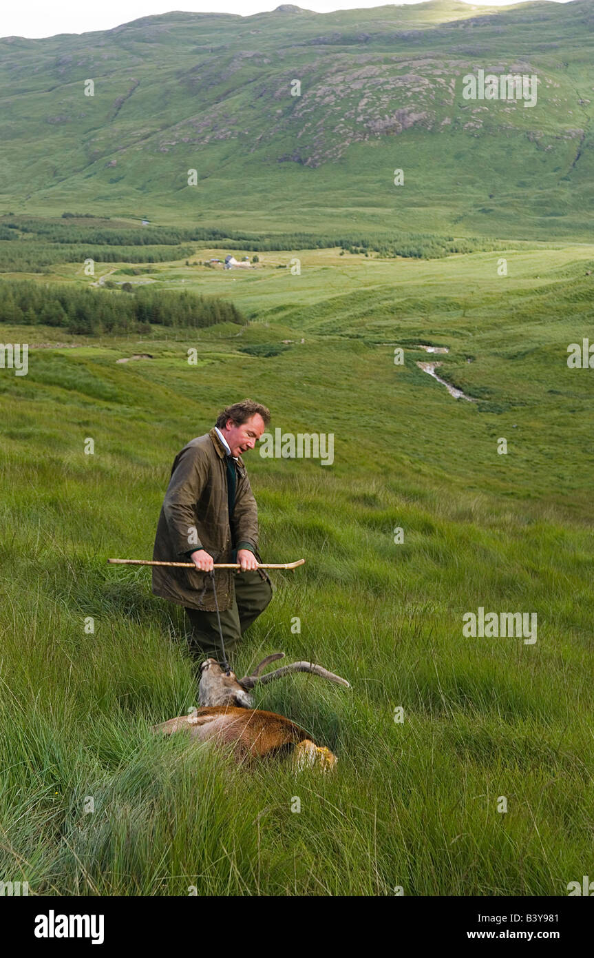 Deer stalking dragging off hill hi-res stock photography and images - Alamy