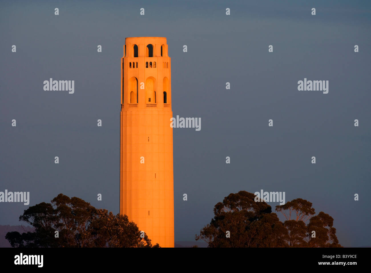 Coit Tower golden lit from sunset lighting Stock Photo - Alamy