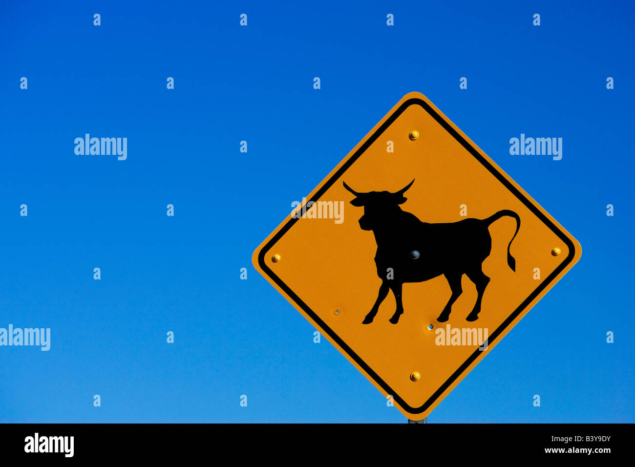 A bull sign on the California Nevada border with a a clear blue sky ...
