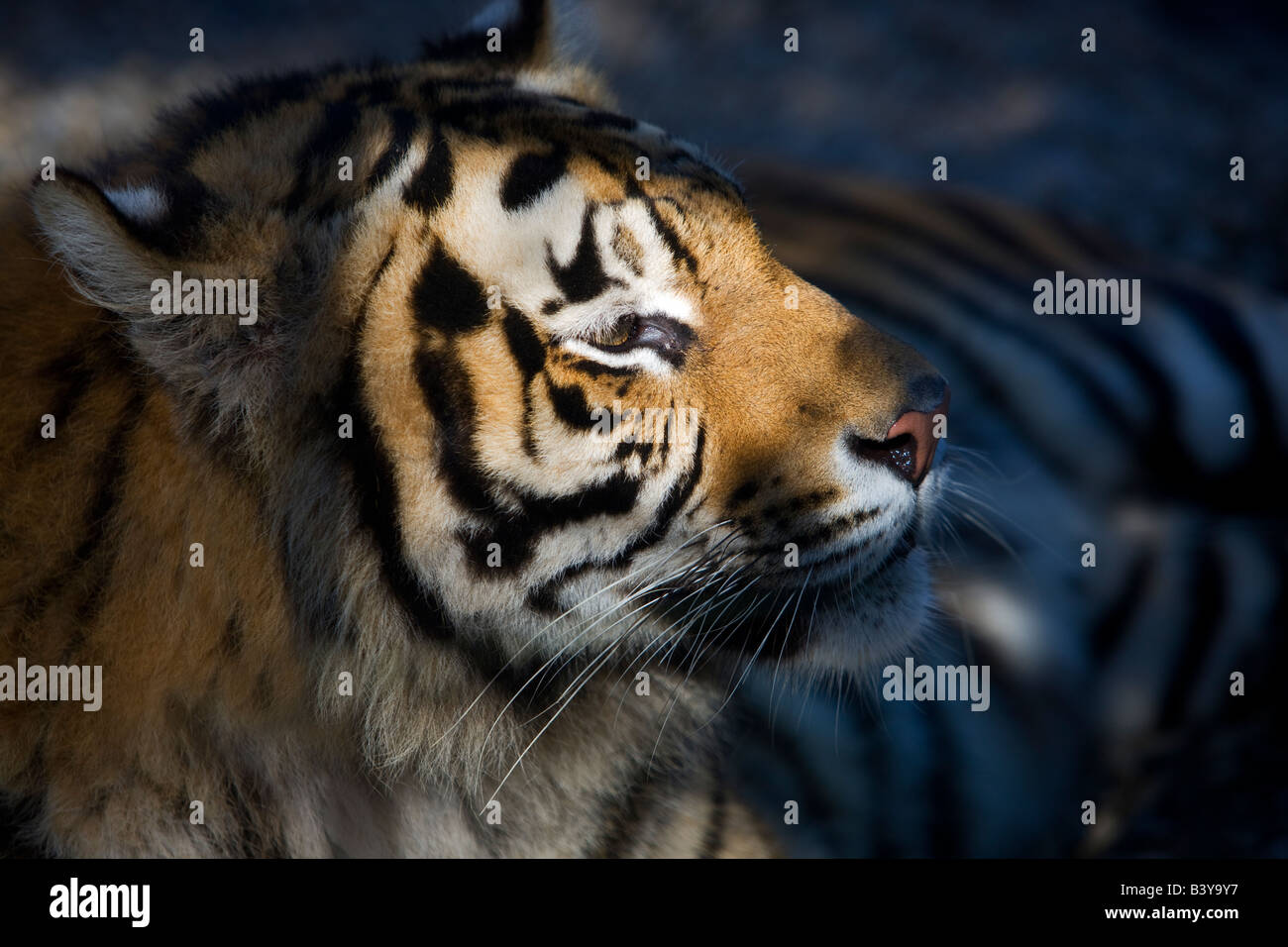 Oregon west coast hi-res stock photography and images - Alamy