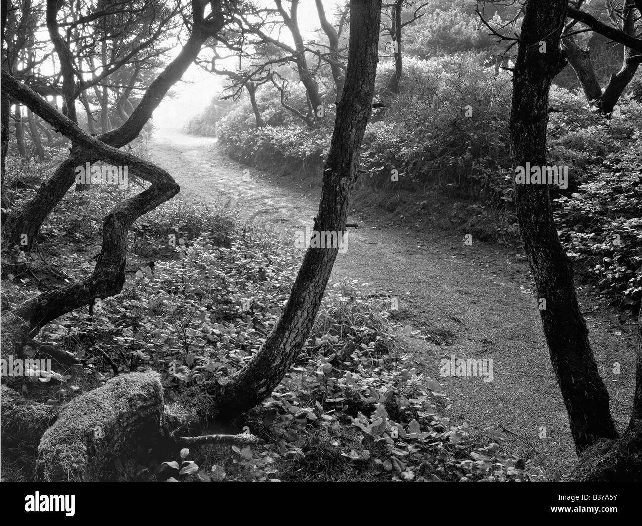 Horizontal rock Black and White Stock Photos & Images - Alamy
